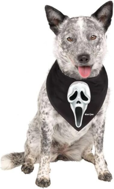 Scream House Tours 2025: Live the Scream Experience! | HelloSidney.com